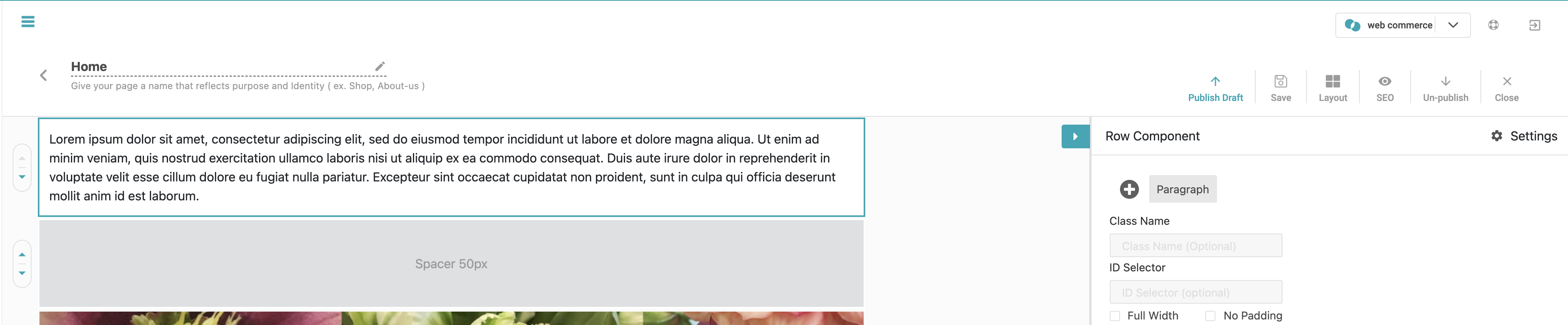 Sell Theme: How To Customize Using CSS & Javascript – ANDMORE